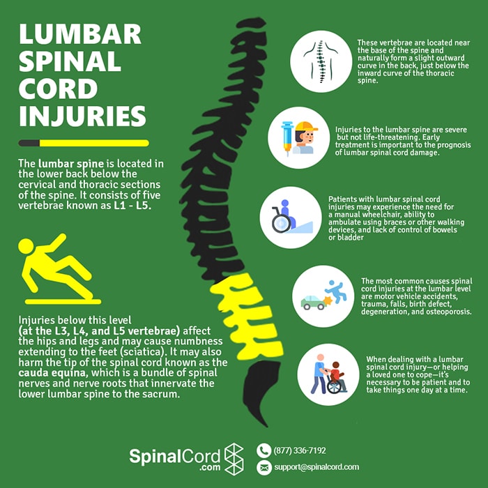 Lumbar Spinal Cord Injuries (L1–L5): Types, Symptoms & Recovery